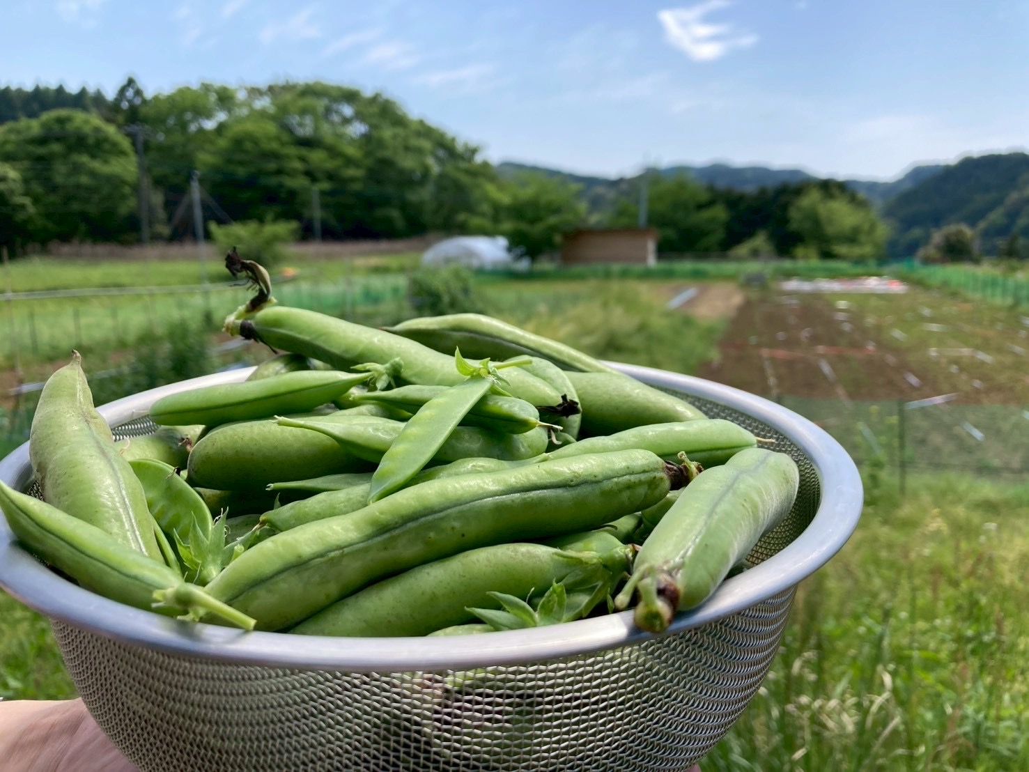 【宿泊レビュー】MUJI BASE OIKAWA(旧老川小学校)に泊まってみた