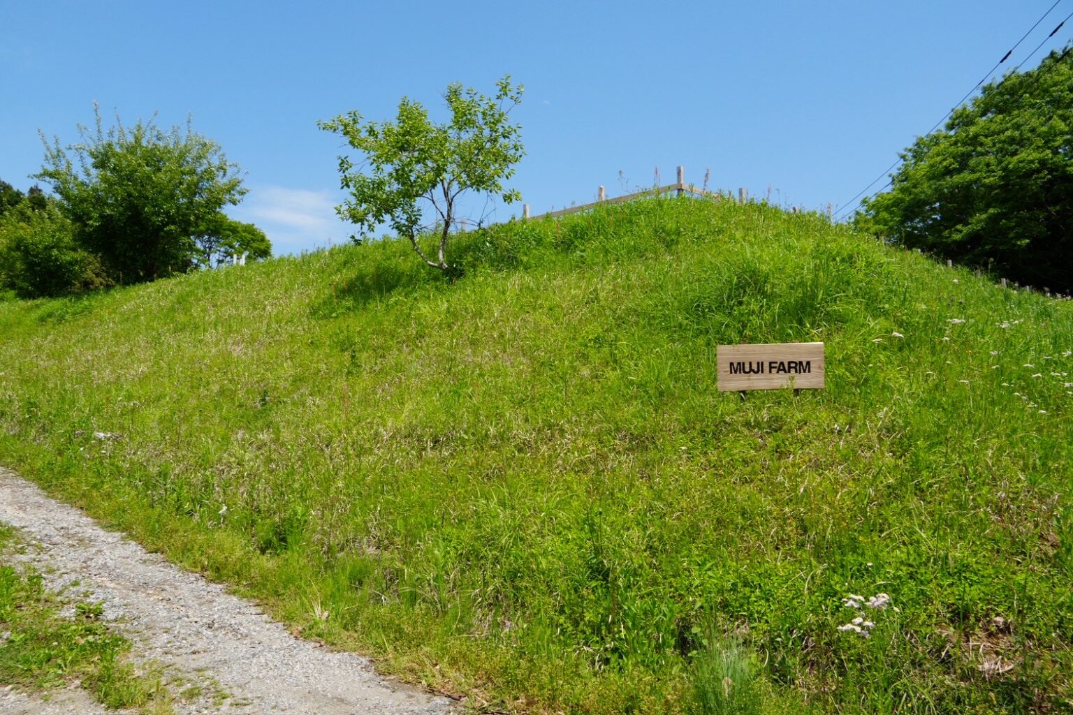 【宿泊レビュー】MUJI BASE OIKAWA(旧老川小学校)に泊まってみた