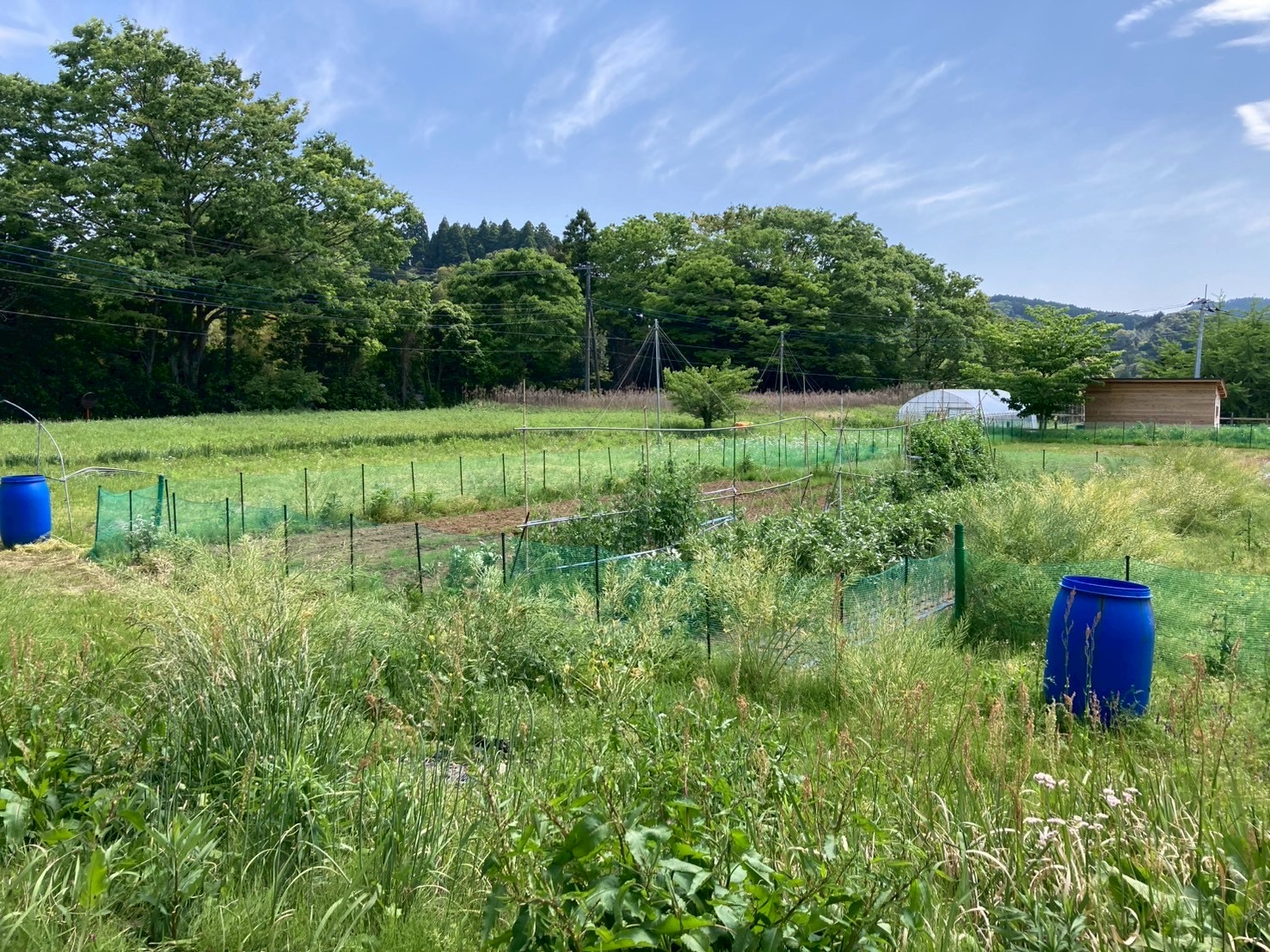 【宿泊レビュー】MUJI BASE OIKAWA(旧老川小学校)に泊まってみた